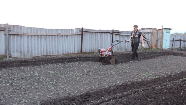 Активные роторы в работе (пробная прополка)