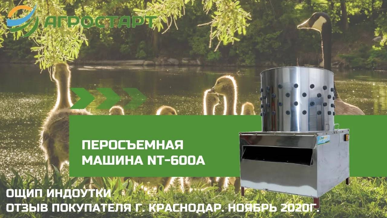 Перосъемная машина NT-600A в работе. Ощип индоутки. Агростарт.