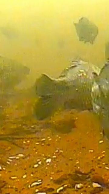 ЗИМНЯЯ РЫБАЛКА НА ПОДВОДНУЮ КАМЕРУ!!!