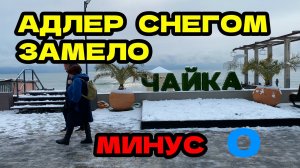 Адлер 2025 | СТОЛЬКО СНЕГА Я НЕ ВИДЕЛ ЗА 5 ЛЕТ | БЕЛЫЕ ПАЛЬМЫ И ХРУСТ ПО НОГАМИ