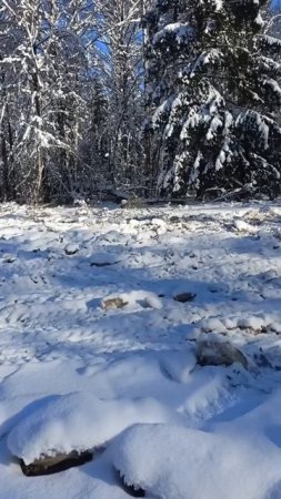 С добрым утром