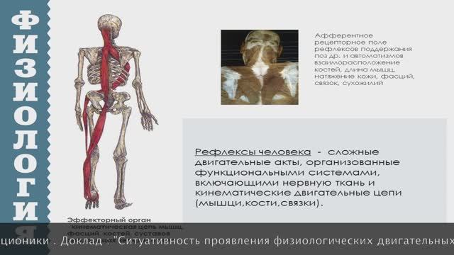 Ситуативность проявления физиологических двигательных функций человека.