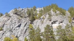 Река Белая  Башкирия