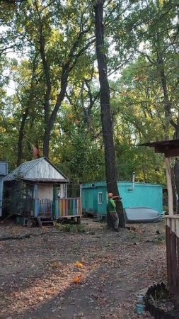 Снос дерева на острове Саратова арбористом