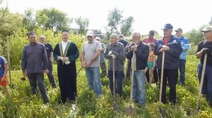 Изгелек бакчасы