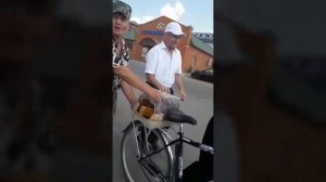 Классташлар