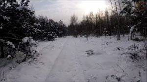 Охота на куницу. Закрыл два коротких путика (Будни охотника и рыбака)