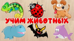 Развивающие мультики для детей -  Изучаем животных Пазлы для малышей
