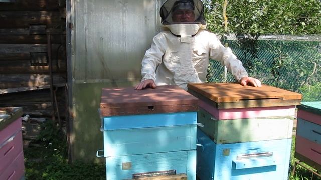 Главный взяток закончен. Снимаю надставки с ульев.