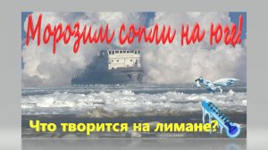 Морозим сопли на Юге. Что творится на Ейском лимане. От Широчанки до Ейской косы! Ейск.