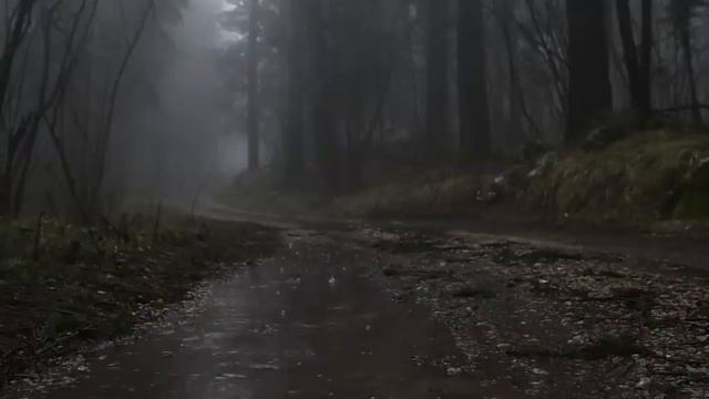 Расслабляющие звуки тропического леса.2 часа легкого дождя.