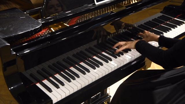 La donna è mobile (from Rigoletto) - Taras Makarenko