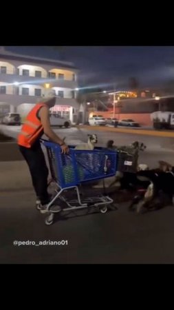 Без неё не выезжает