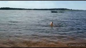 Поездка в Рыбинск