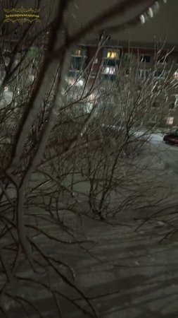 Воркута. Хрустальные деревья!