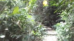 Phuket jungle - kathu waterfall