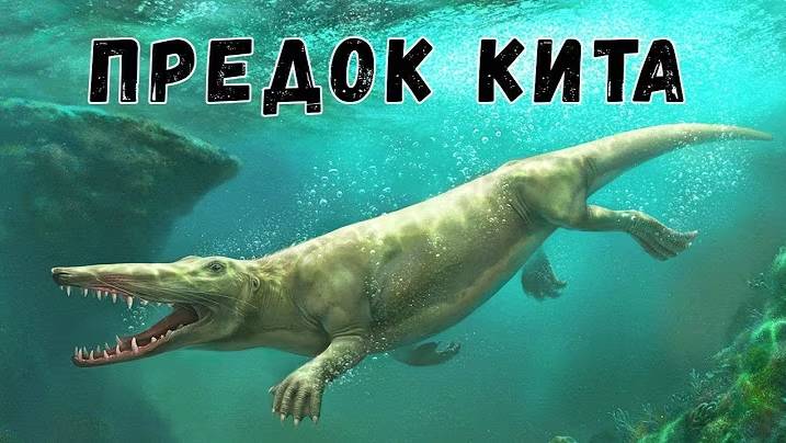Какими были предки китов из эпохи динозавров?