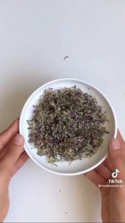 health benefits of red clover