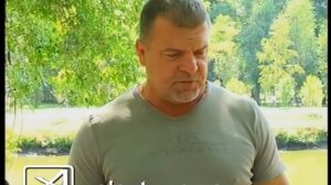 Пополнение лебедей
