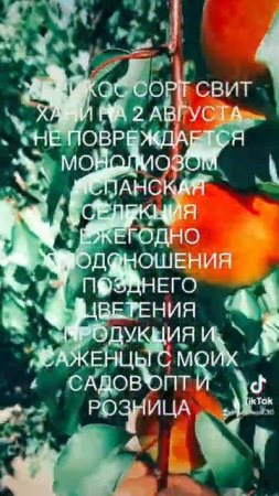 Фермер опт и розница