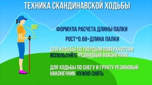 Техника скандинавской ходьбы