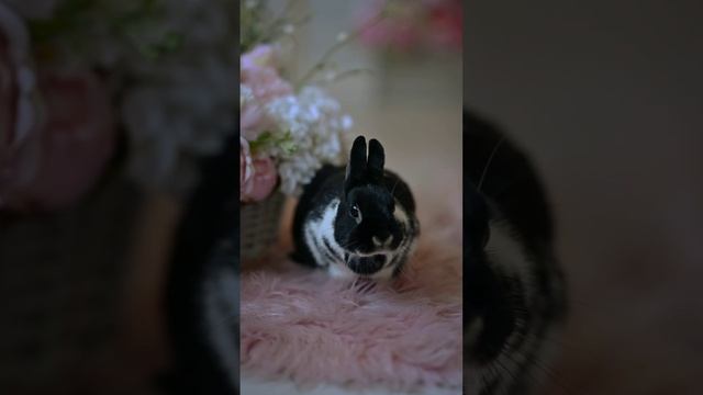 Видео истории о Ваших близких.