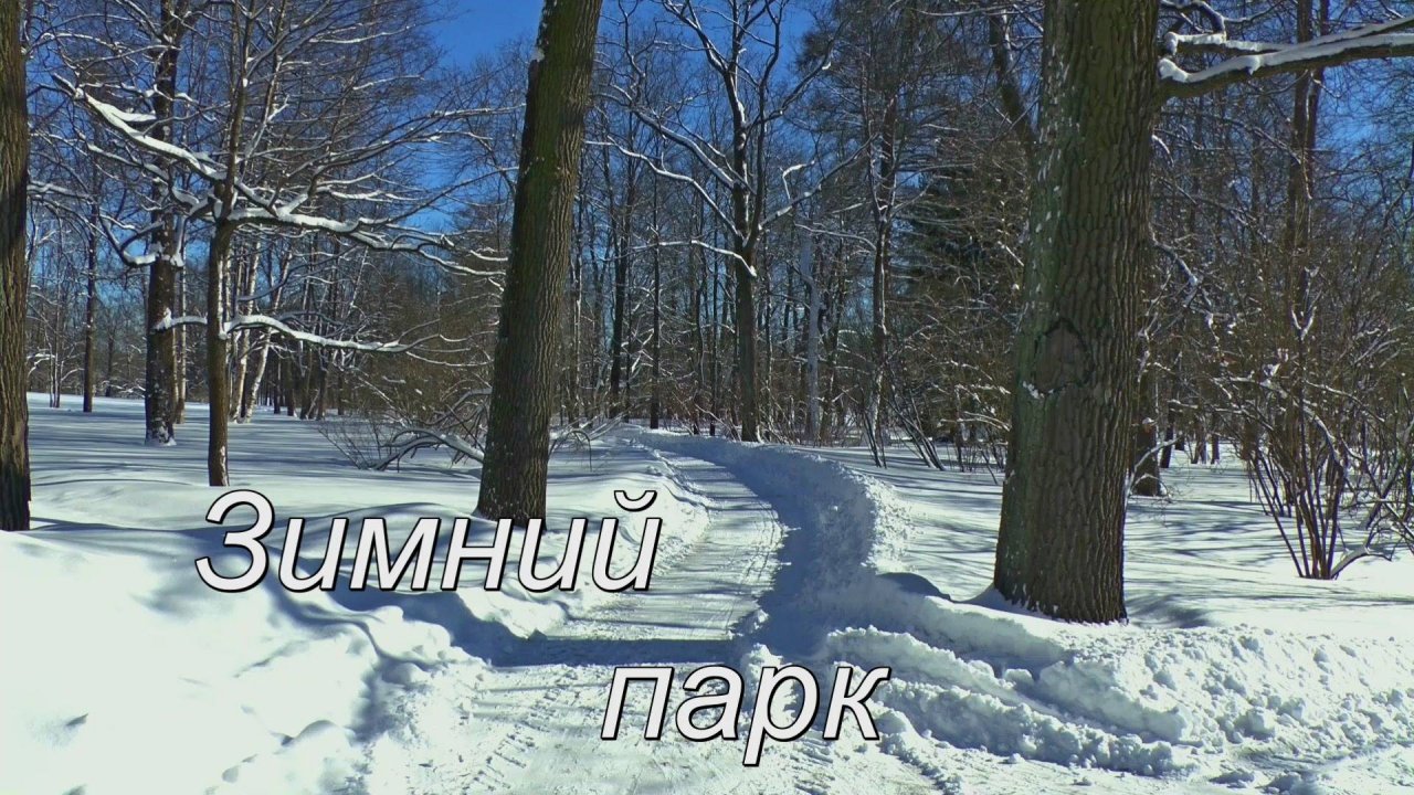 Зимний парк