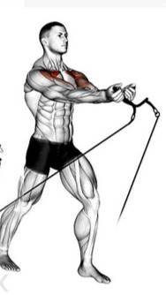 Сведение нижних блоков кроссовера перед собой