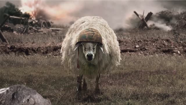 80-лет ПОБЕДЕ! ПОМНИМ! ГОРДИМСЯ!