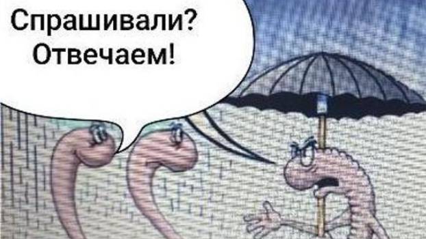 День вчерашний: сегодня и завтра. Общественная палате скоро 20- треть от истории жизни Волгодонска