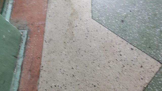 27-02-2025  Тварь нагадила и пошла