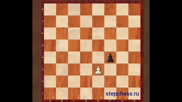 Шахматы для начинающих. Пешка