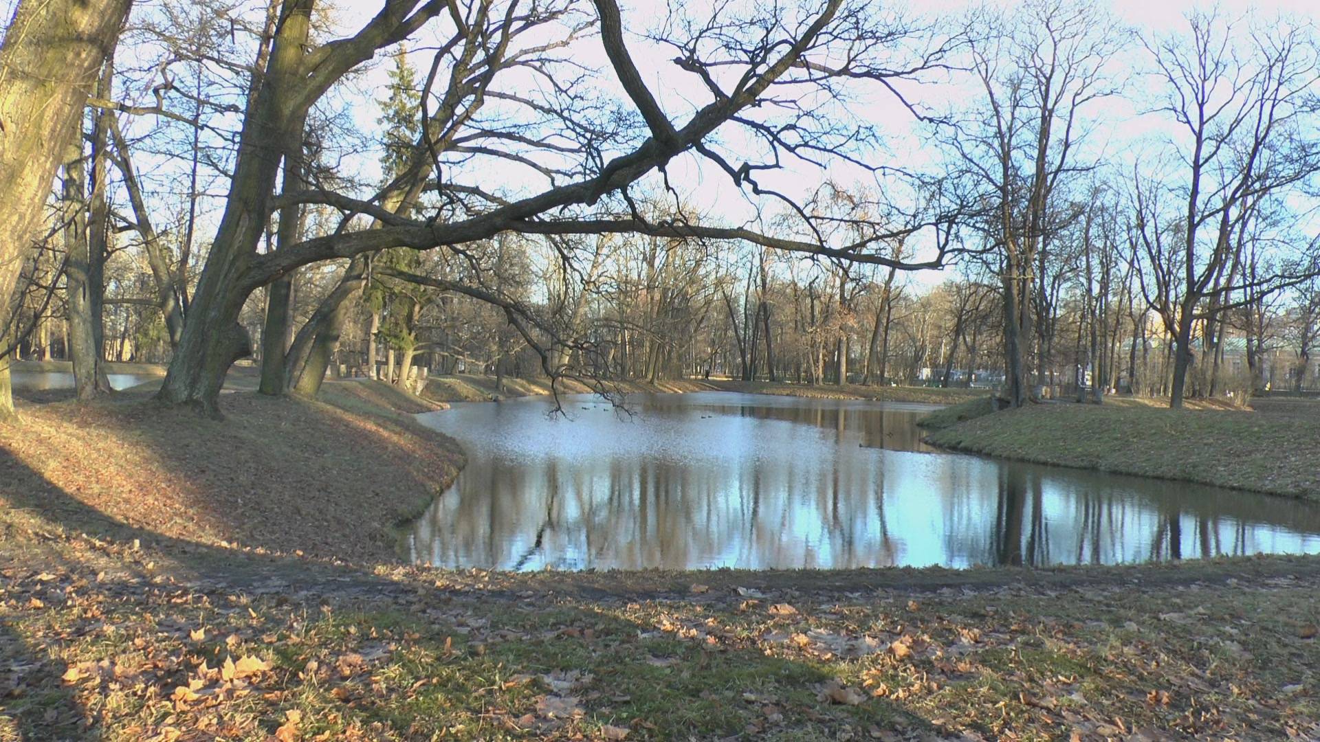 Александровский парк поздняя осень