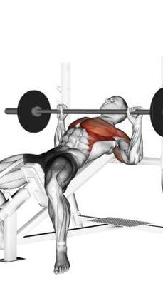 Жим штанги под углом 45