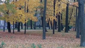 Лопухинский сад, Санкт-Петербург
