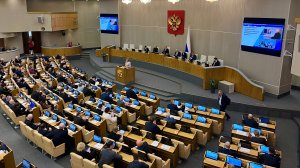 Уполномоченный представила Государственной Думе Доклад о деятельности за 2024 год