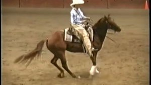 Wildwood Soul O Silk West Coast Classic Freestyle