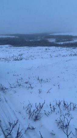 Путешествие в большеземельскую тундру. 2024 год