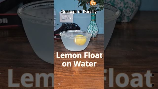 Density Magic #Science | How Swimming on Sea Water Easy #shorts #vtacademe