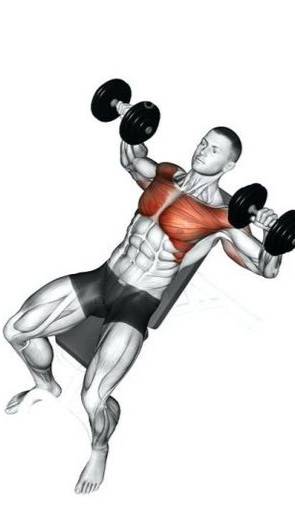 Жим гантелей под углом 45