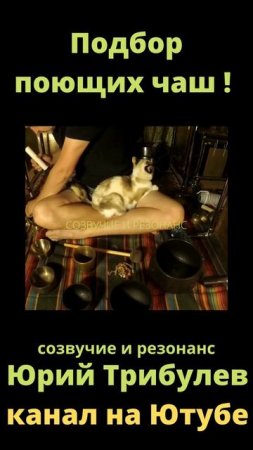 Поющие чаши тибетские. Медитация. #shorts #short