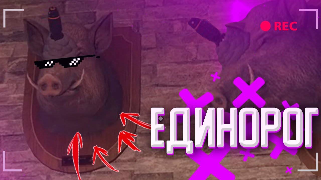 Единорог в Rainbow Six Siege!