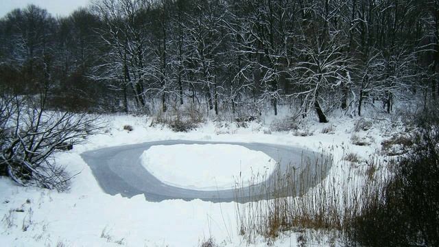 Коньки и комментарий