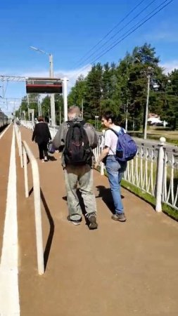 Ваша электричка приехала в Комарово! Хотите на неделю, хотите - до второго// 08.07.2022