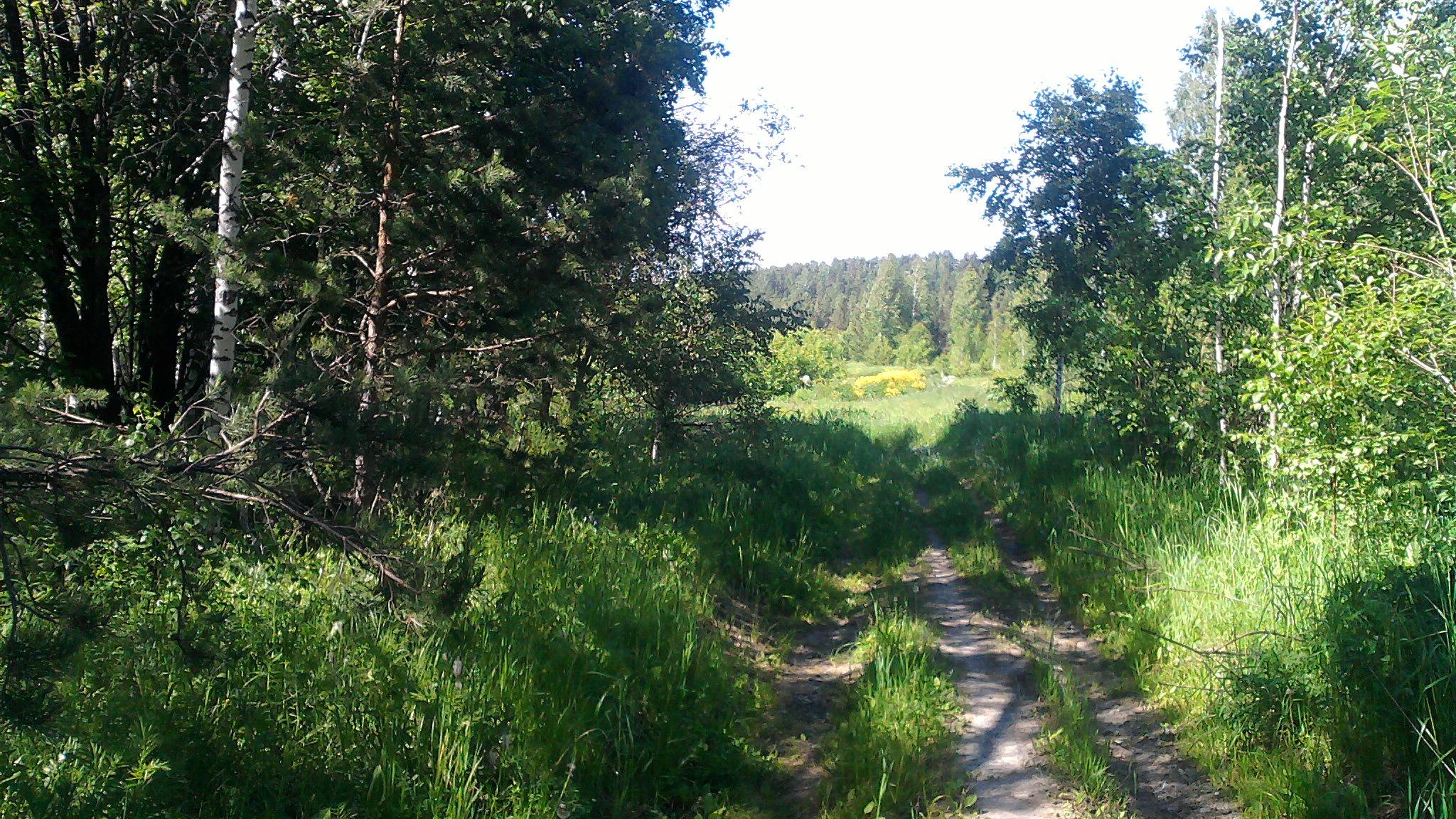 Природа Томска