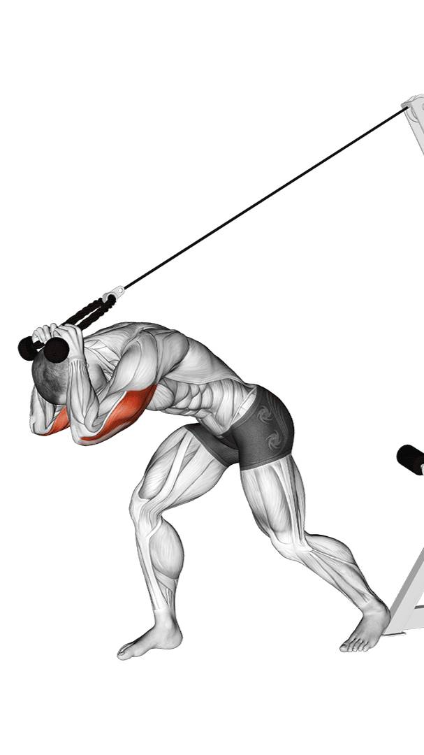 Разгибания рук с канатом из-за головы