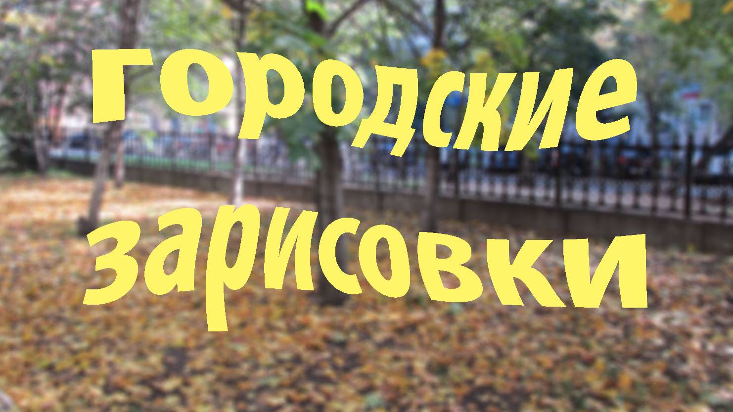 Кира Бородулина, рассказ Городские зарисовки