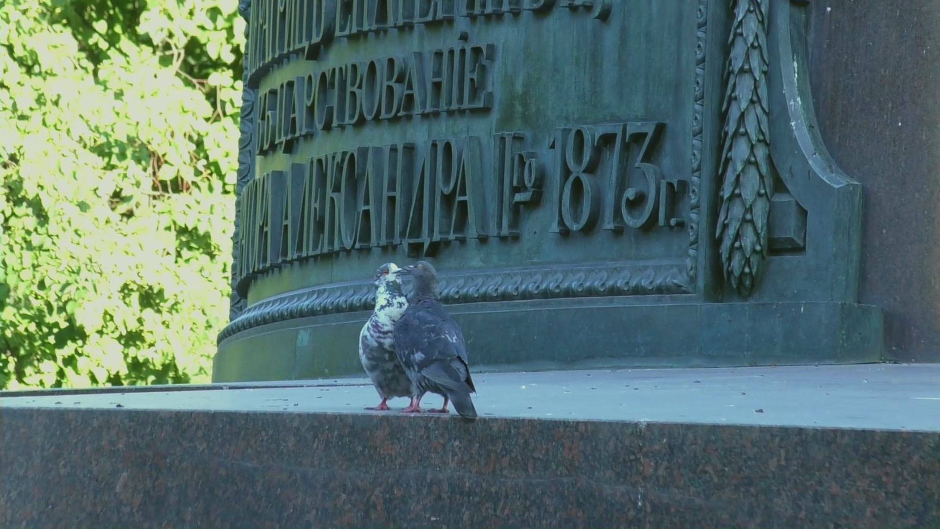 А поцеловаЦЦа....