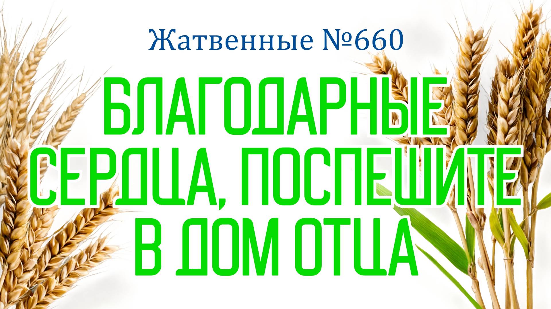 ПВ_4k №660 Благодарные сердца, поспешите в дом Отца