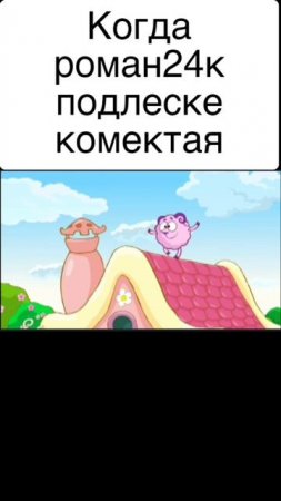 Когда 🇷🇺роман24к🇷🇺 полес в каментарии Смешарики